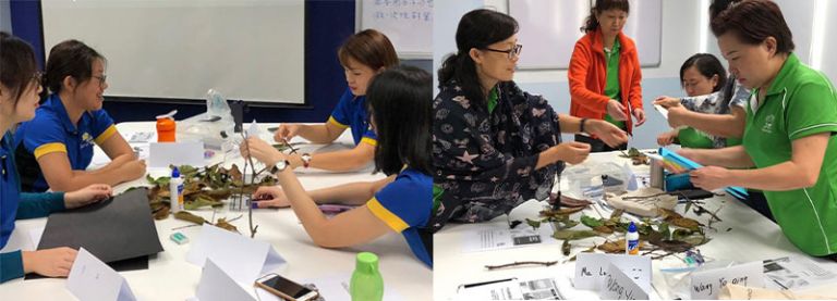 700 Early Childhood Staff Attend Professional Development Day 2019 ...